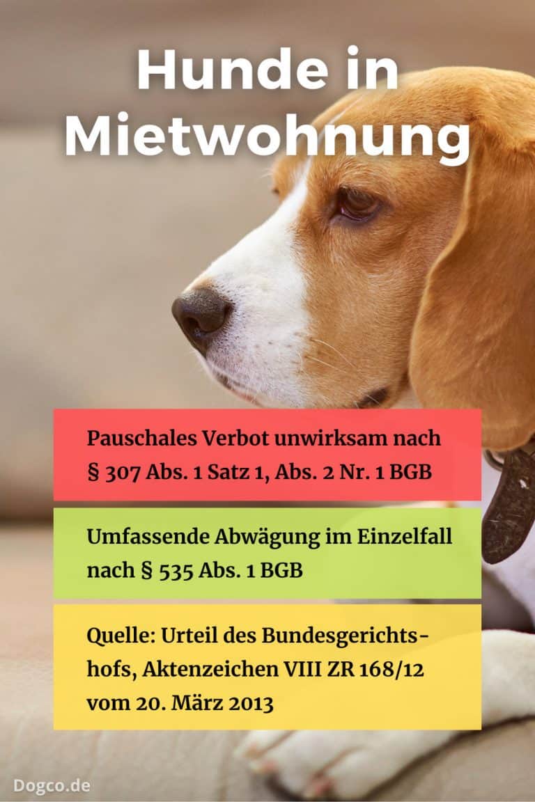Darf Vermieter Hund Verbieten