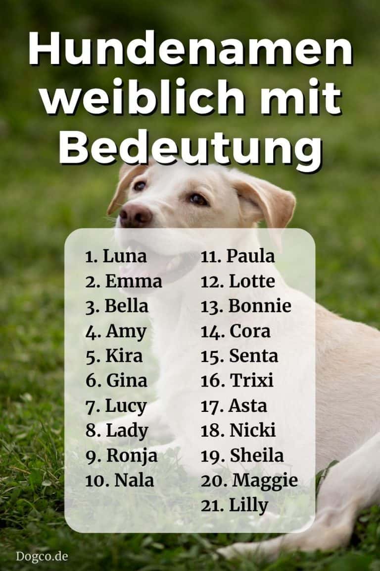 Bedeutung Von Hundenamen