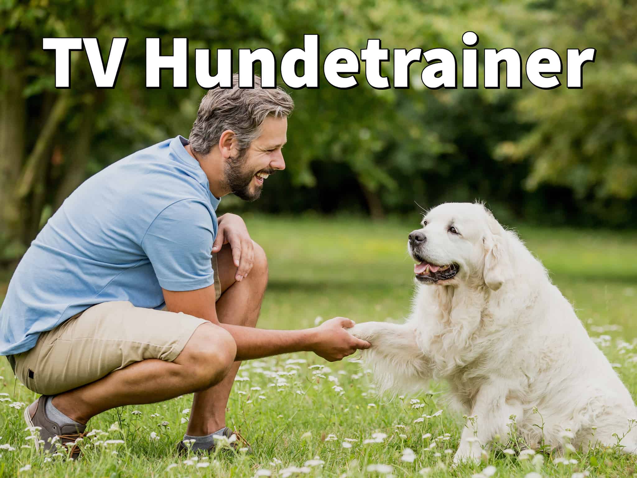 TV Hundetrainer: Beste Trainer im Fernsehen (TV Shows 2026)